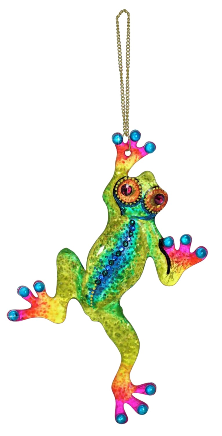 Long Rainbow Frog - Glitterlab